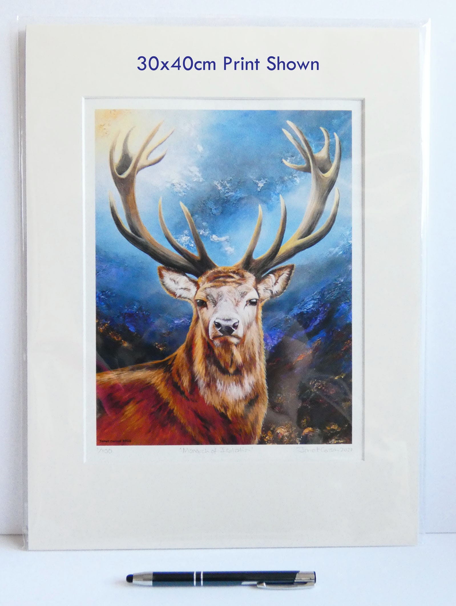 Red Deer Stag Print, limited Edition of 100 Scottish Wildlife, Deer ...