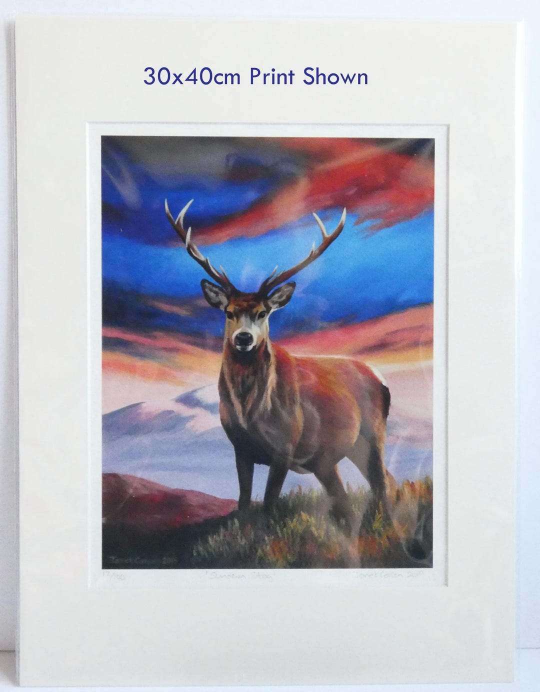Red Deer Stag Print, limited Edition of 100 Scottish Wildlife, Deer ...