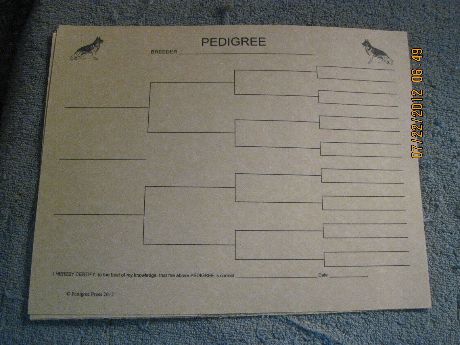 Paper & Party Supplies Paper German Shepherd Breeder Pedigree Blank ...