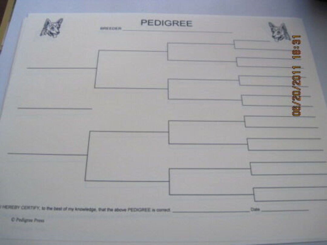 Welsh Corgi Breeder Pedigree Blank Forms 10 Sheets - Etsy