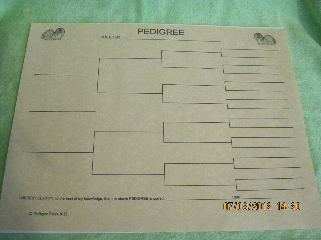 Maltese Breeder Pedigree Blank Forms 10 Sheets - Etsy