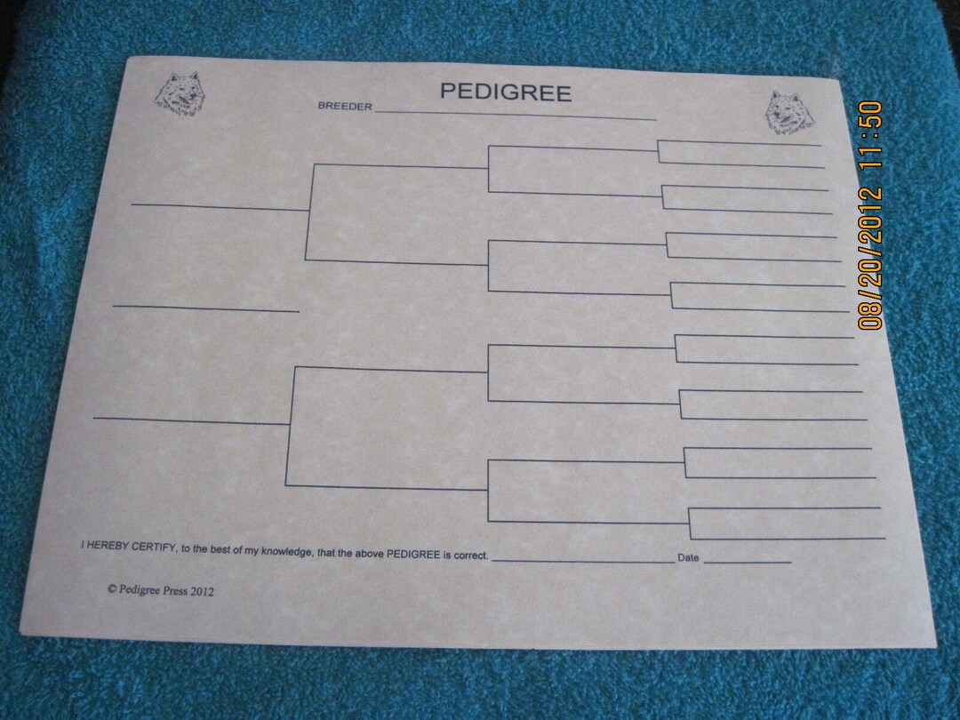 Samoyed Head Breeder Pedigree Blank Forms 10 Sheets - Etsy