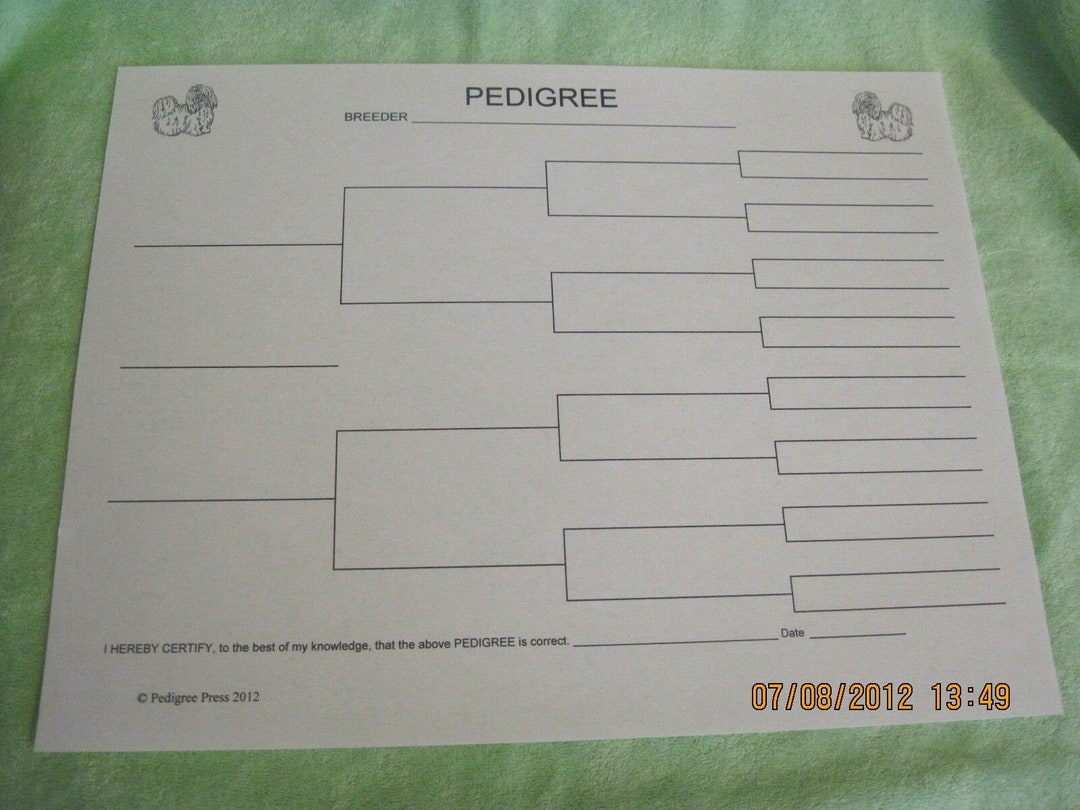 Maltese II Breeder Pedigree Blank Forms 10 Sheets - Etsy