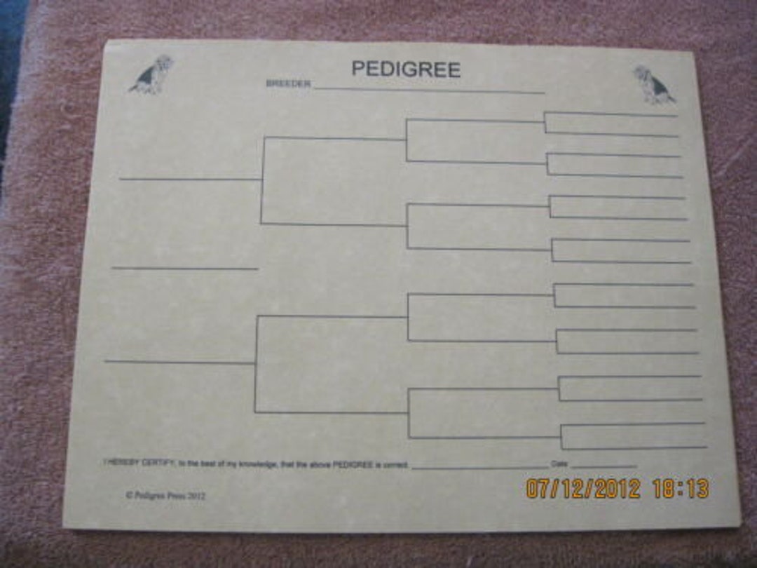 Beagle Hound Breeder Pedigree Blank Forms 10 Sheets - Etsy