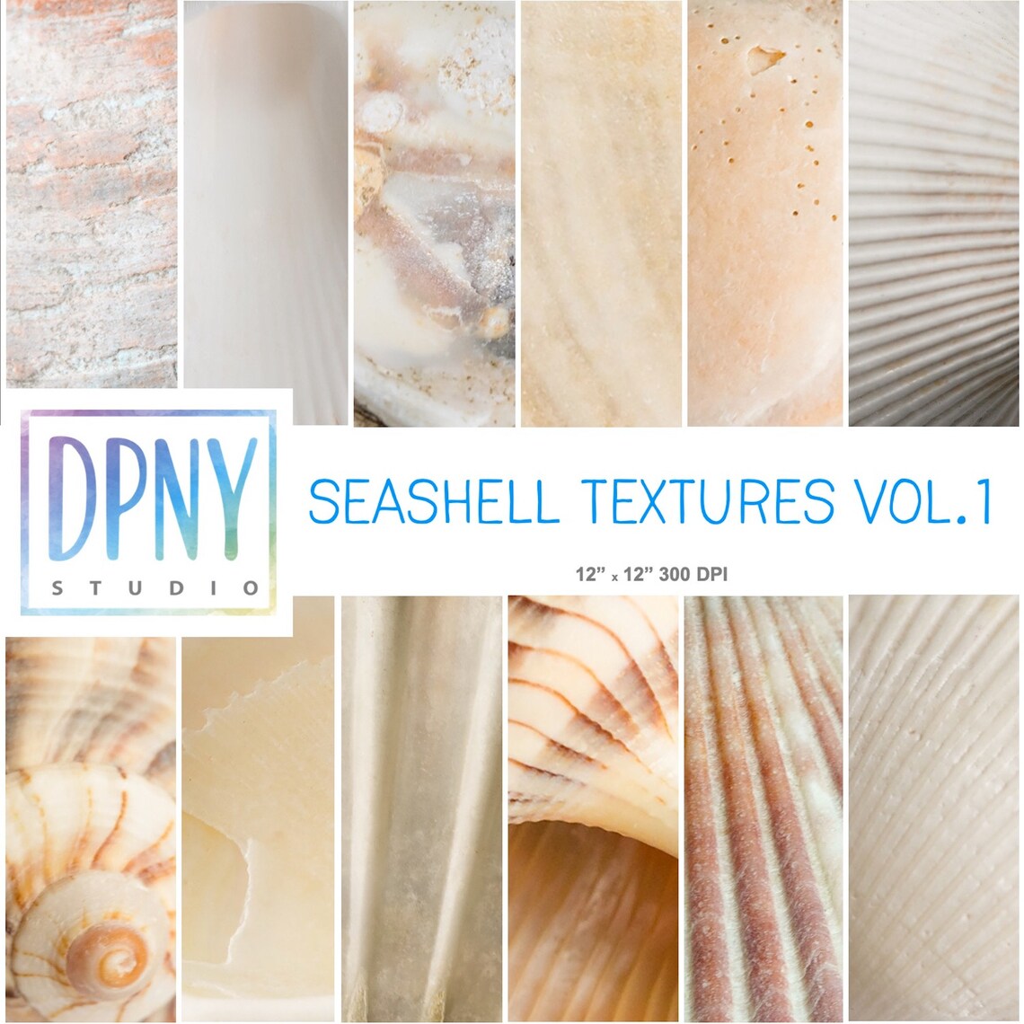 Seashells Digital Paper Set #1, Beach Textures Scrapbooking Papers ...