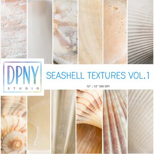 Seashells Digital Paper Set #1, Beach Textures Scrapbooking Papers ...