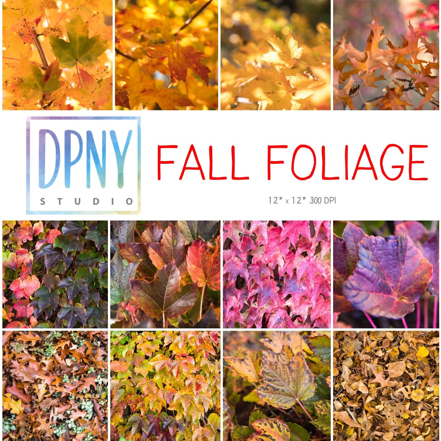 Fall Foliage Themed Digital Paper Set, Autumn Leaves Photography ...