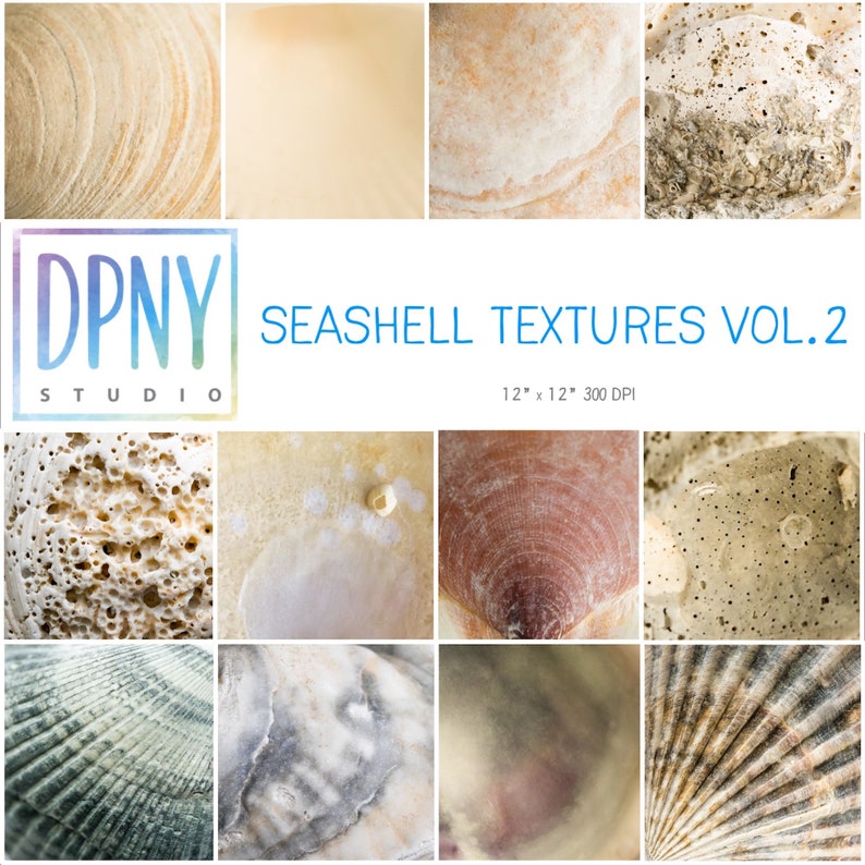 Seashells Digital Paper Set #2, Beach Textures Scrapbooking Papers ...