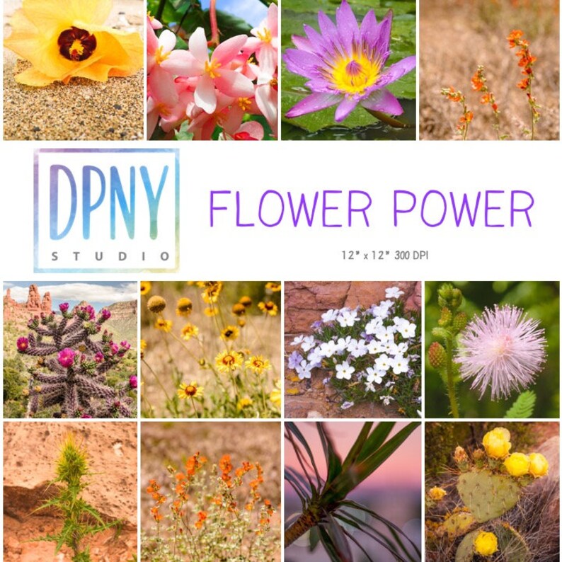 Flower Power Floral Themed Digital Paper Set, Floral Photography ...