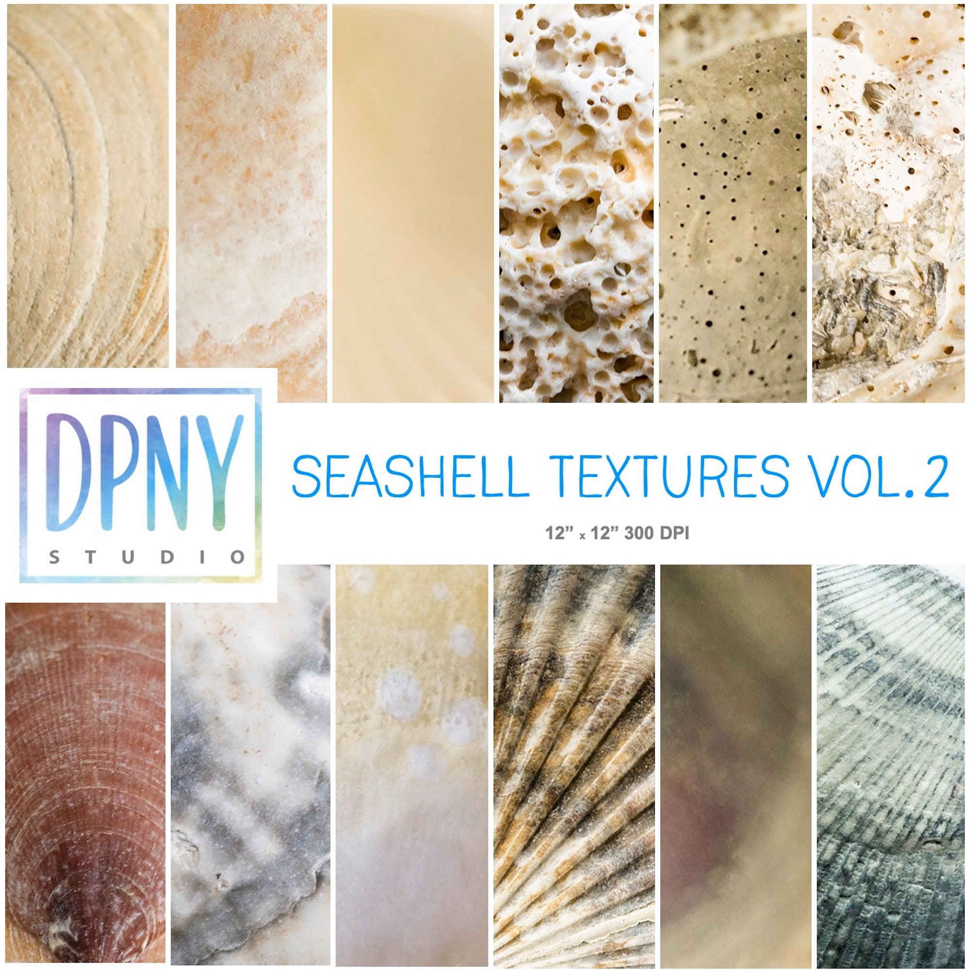 Seashells Digital Paper Set #2, Beach Textures Scrapbooking Papers ...