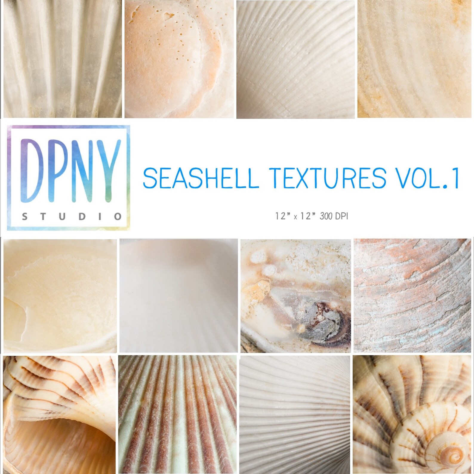 Seashells Digital Paper Set #1, Beach Textures Scrapbooking Papers ...