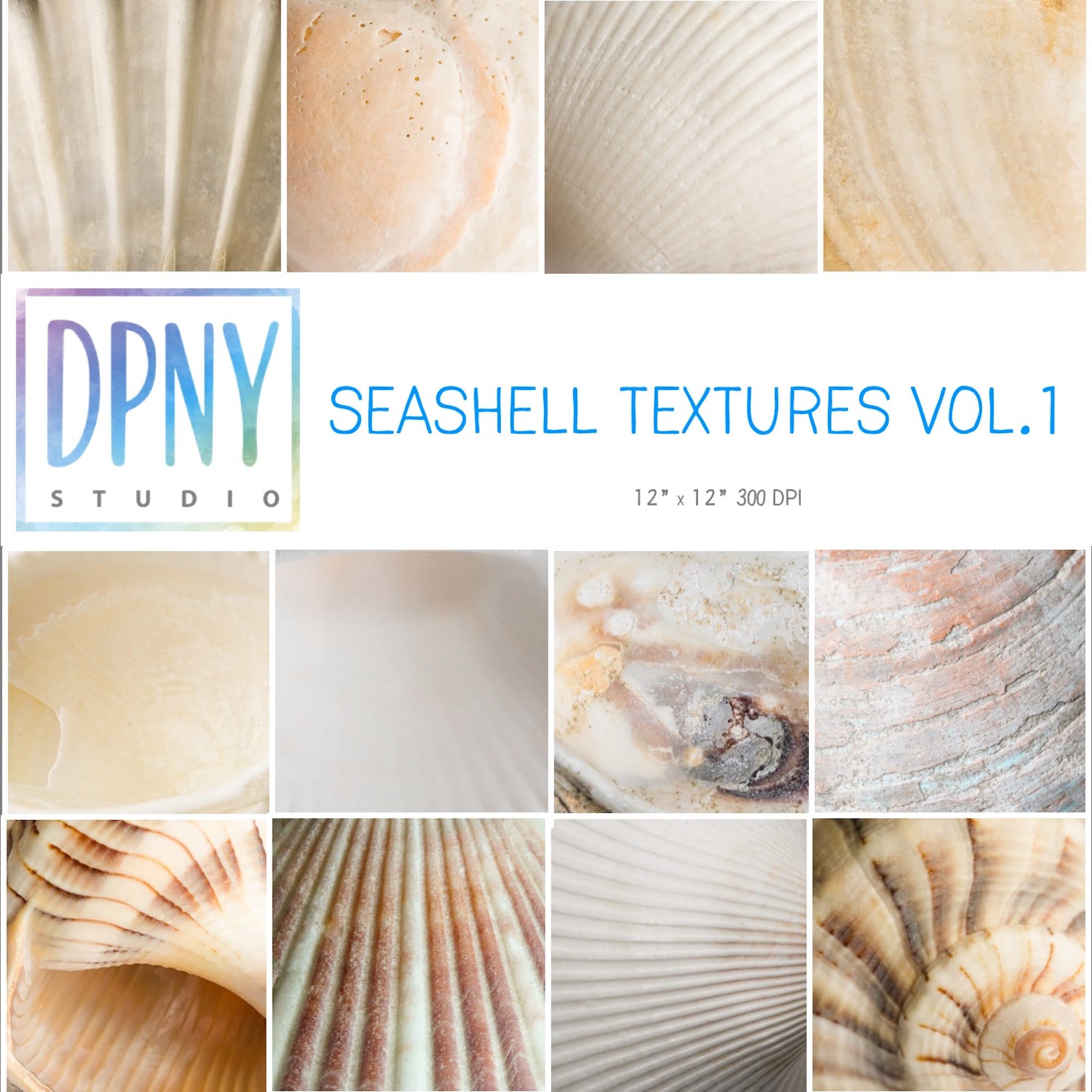 Seashells Digital Paper Set #1, Beach Textures Scrapbooking Papers ...