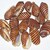 Lima File Clam Glued Pair Seashells (2"-2-1/2") (1 Shell) BULK ...