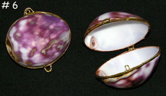 Real Seashell Trinket Coin Pill Jewelry Box or Purse | Etsy