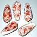 Strawberry Top Seashells clanculus Puniceus Craft Shells - Etsy