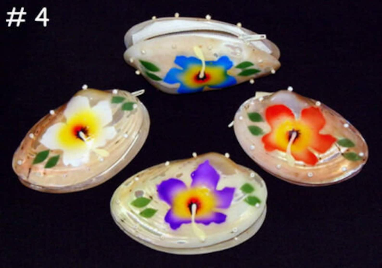 Real Seashell Trinket Coin Pill Jewelry Box or Purse | Etsy