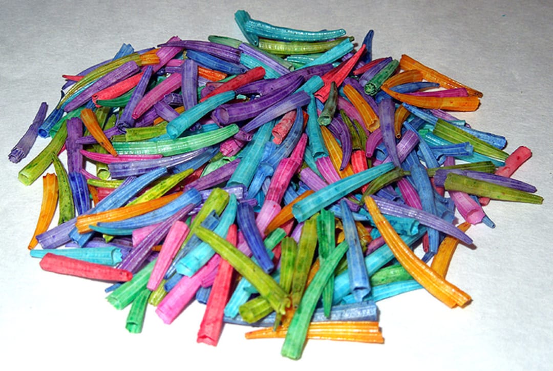 Dyed Tusk Shells ~ Dentalium Aprinum ~ Craft/jewelry Seashell Supply ...