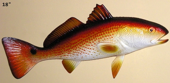 Red Drum Fish Replica-wall Plaque Mount-nautical - Etsy