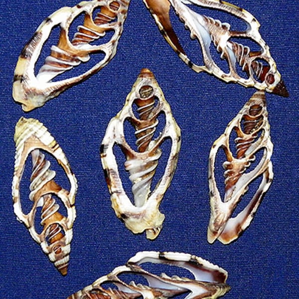 Mitra Jewelry - Etsy