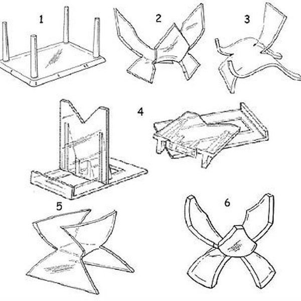 Sea Shell Display - Etsy