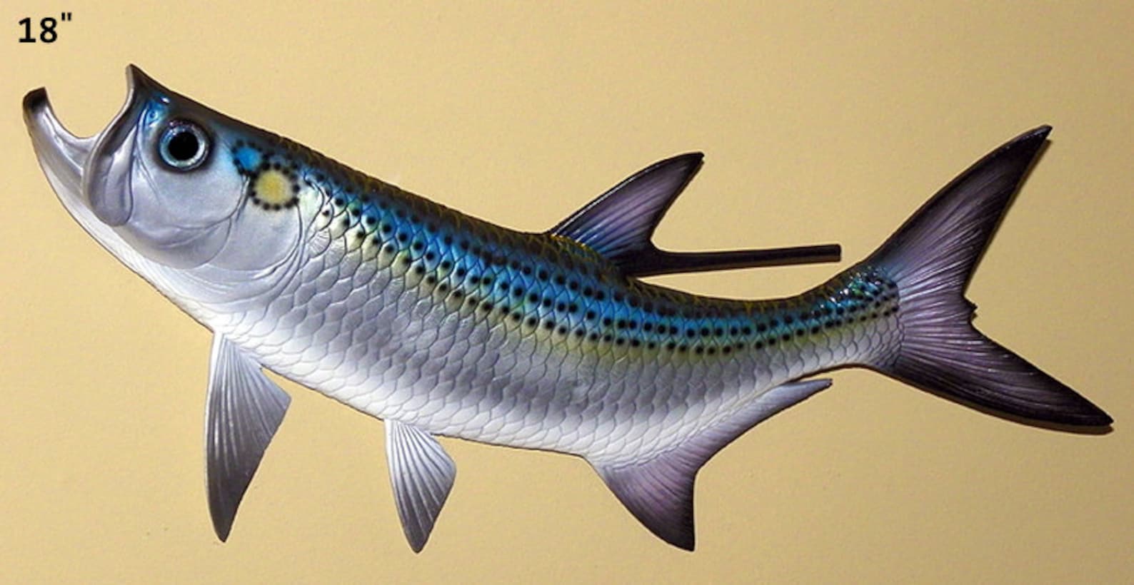 Tarpon Fish Replica-wall Plaque Mount-nautical Decor 18 Long-features a ...