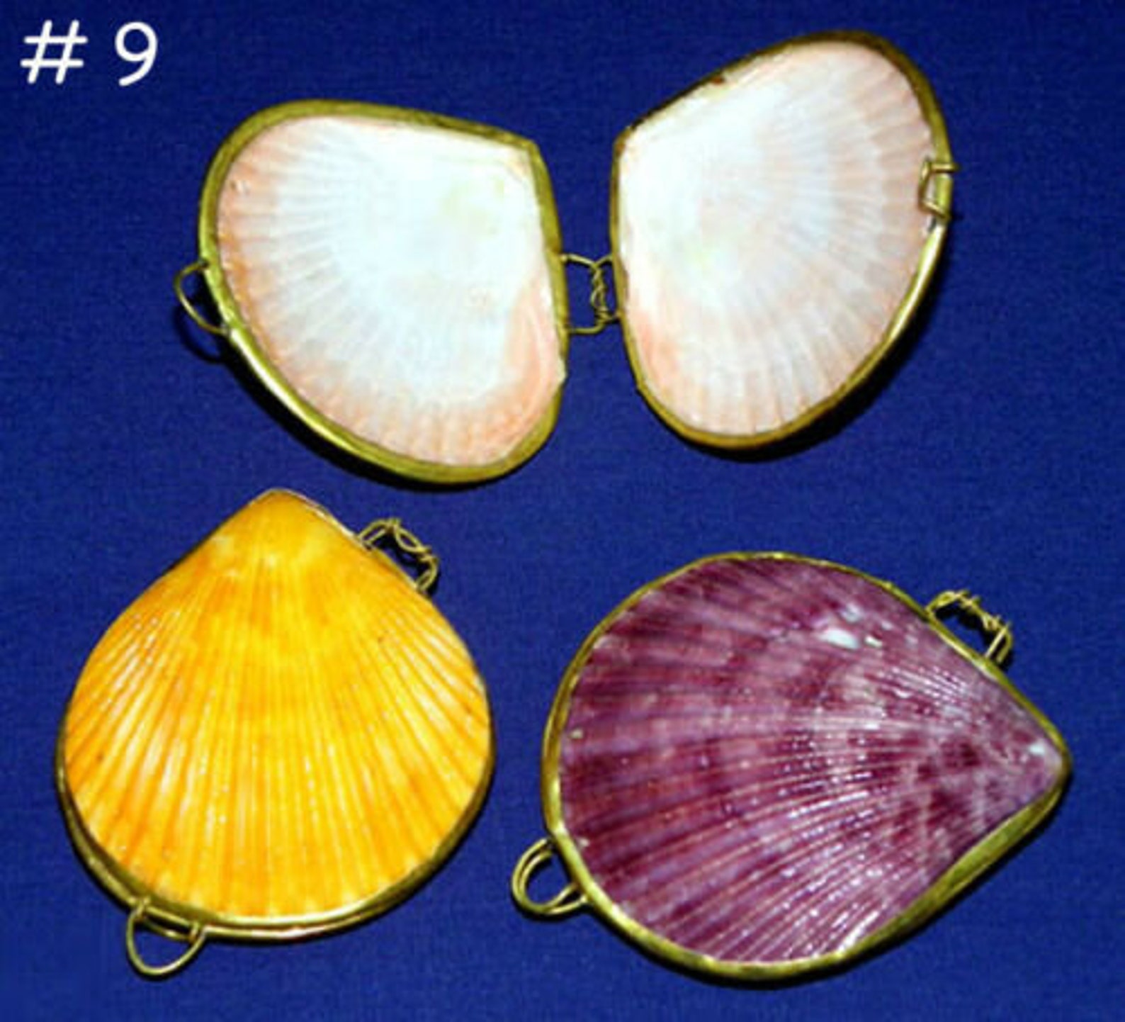 Real Seashell Trinket Coin Pill Jewelry Box or Purse - Etsy