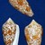 Cebu Beauty Snail Shells 1/2"-3/4"~jewelry Seashell Supplies~ (20 ...