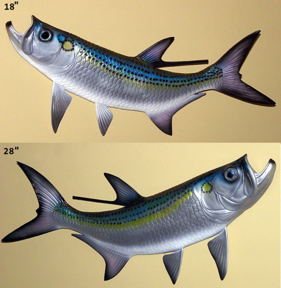 Tarpon Fish Replica-Wall Plaque Mount-Nautical Decor-Available | Etsy