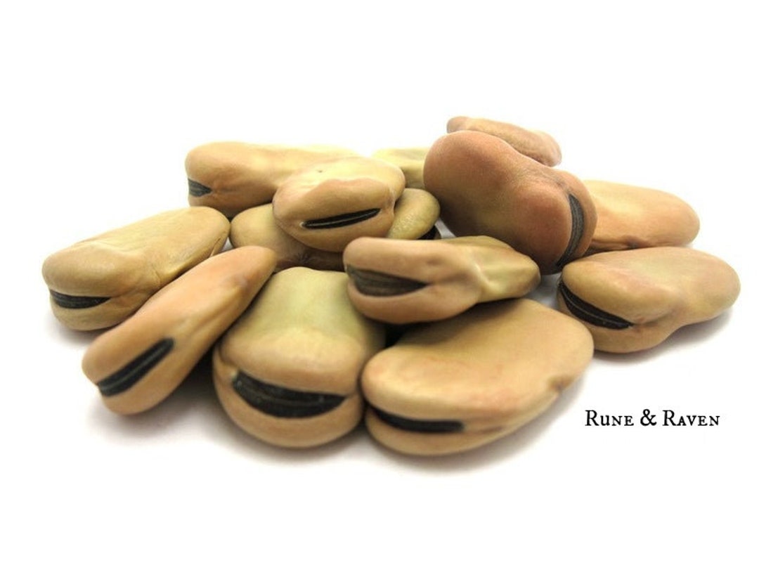 Mojo Wish Beans, One Dozen, Wishing Beans, Dried Beans, Metaphysical ...