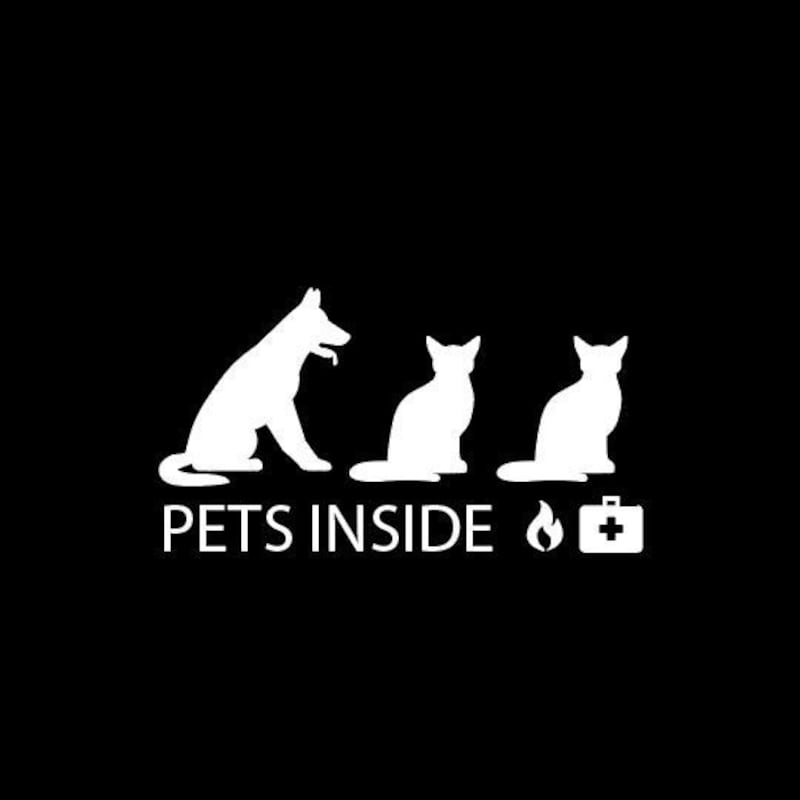Pet Inside Sticker - Etsy