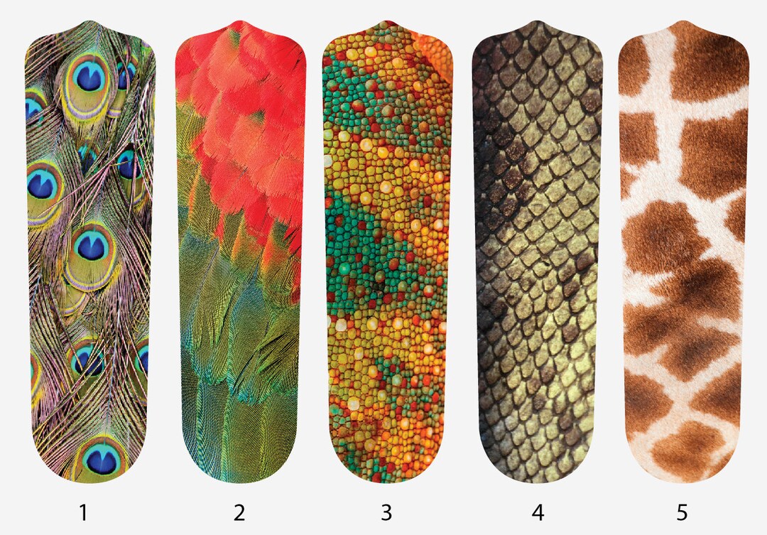 Animal Skin, Bird Feather Fan Blades - Etsy