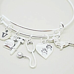 Vet Nurse, Vet Tech, Veterinary Gift, Vet Charm Bracelet, Vet Nurse ...