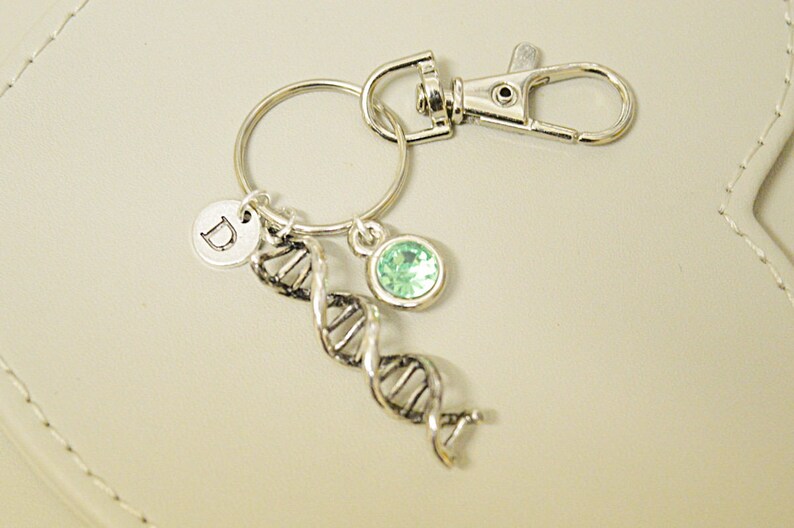 DNA Keyring, Science Keychain, Chemistry Gify, Biology Gift ...