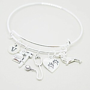 Vet Nurse, Vet Tech, Veterinary Gift, Vet Charm Bracelet, Vet Nurse ...