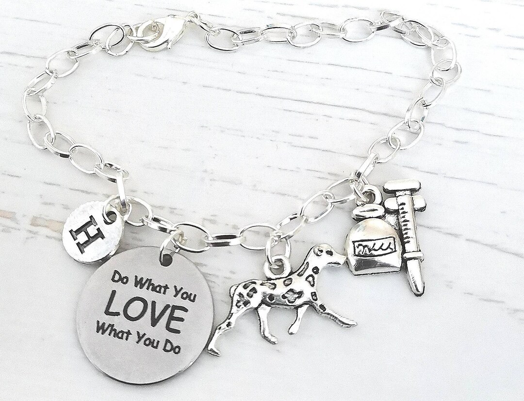 Vet Nurse, Vet Tech, Veterinary Gift, Vet Charm Bracelet, Vet Nurse ...