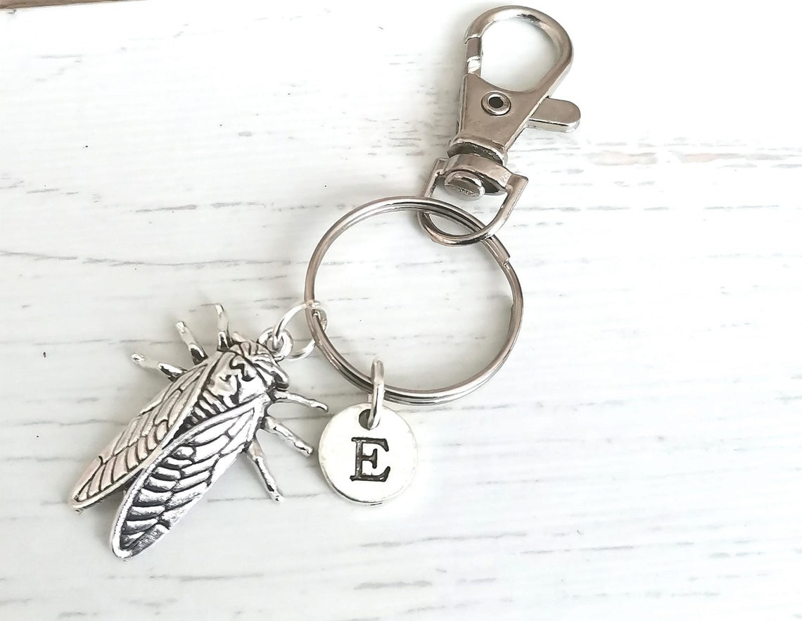 Fly Keychain Fly Keyring Fly Gift Firefly Key Ring Firefly - Etsy
