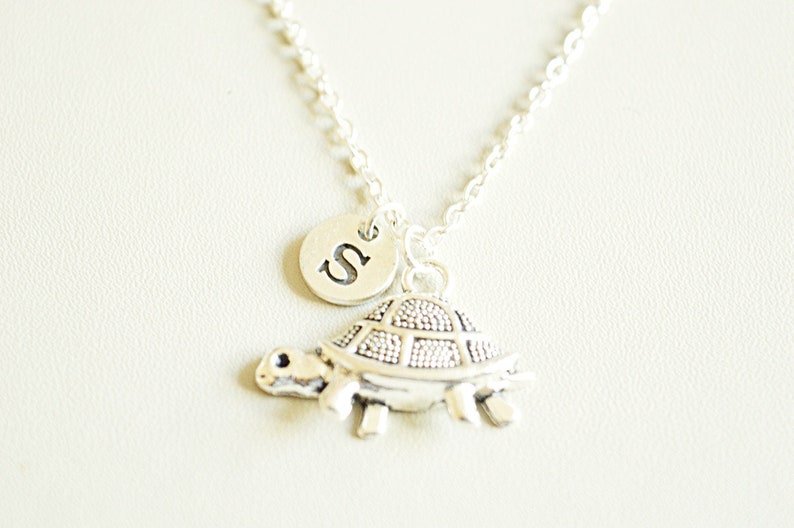 Tortoise Necklace Tortoise Jewelry Tortoise Gift Charm - Etsy UK
