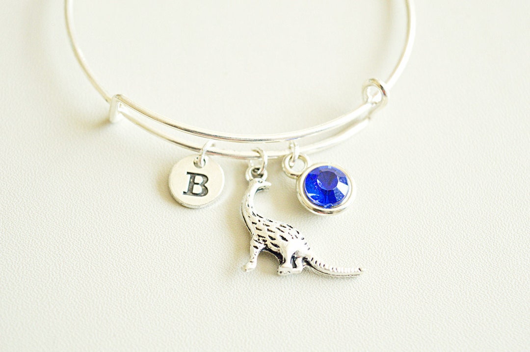 Dinosaur Gift Adult, Paleontology Student, Dinosaurs Bracelet, Dino ...