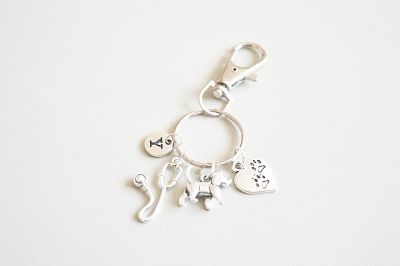 Vet Gifts, Vet Keychain, Vet Keyring, Veterinary Gifts, Veterinary ...