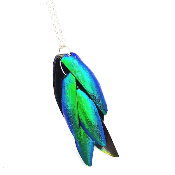 Jewel Beetle Wings - Etsy