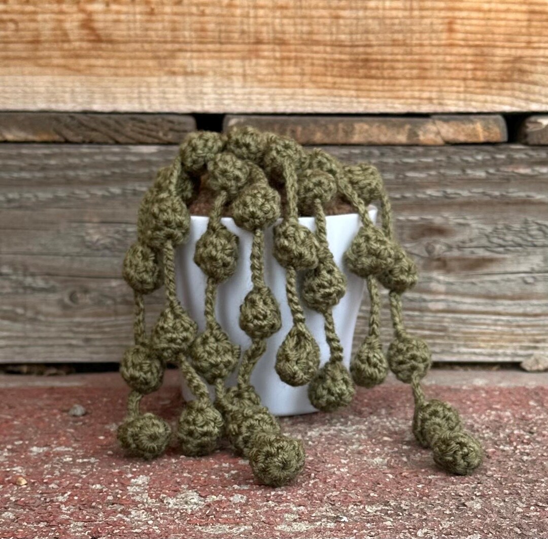 Crochet String of Pearls Plant - Etsy