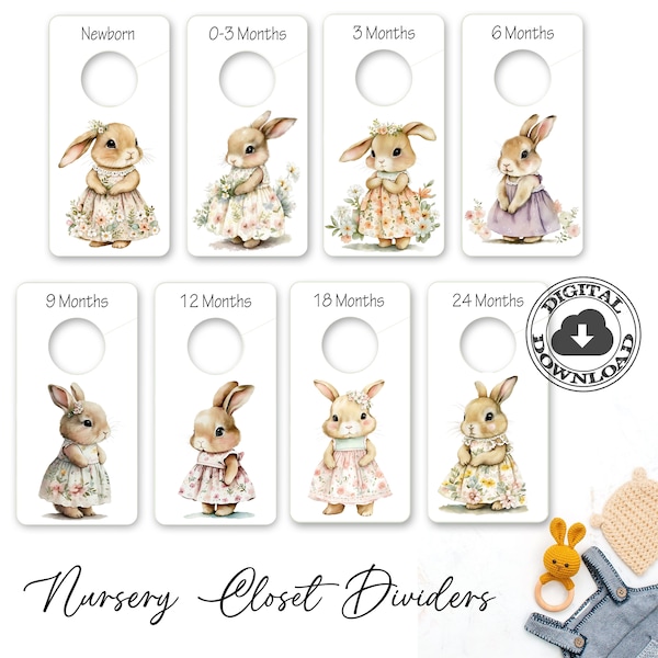 Closet Organizer - Etsy