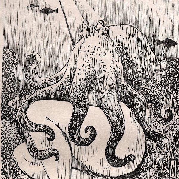 Octopus Arms - Etsy