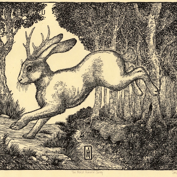 Jackalope Print - Etsy