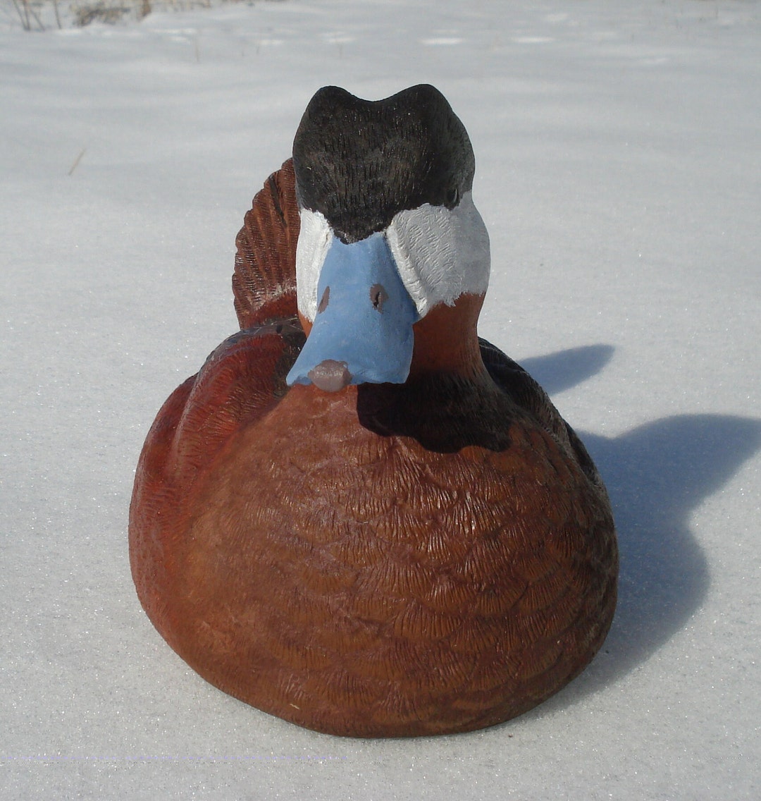 Ruddy Drake Duck - Etsy