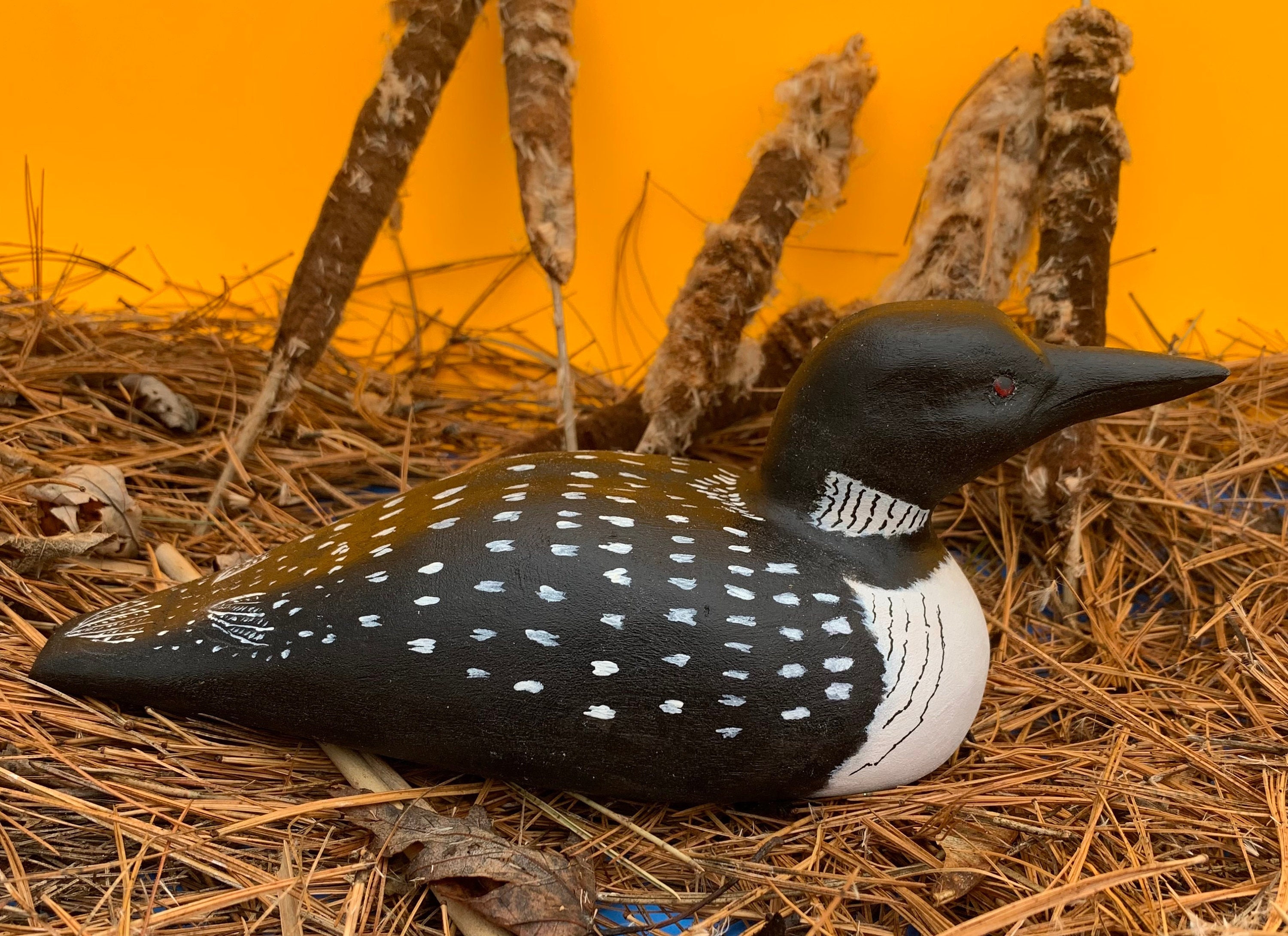 Common Loon - Etsy
