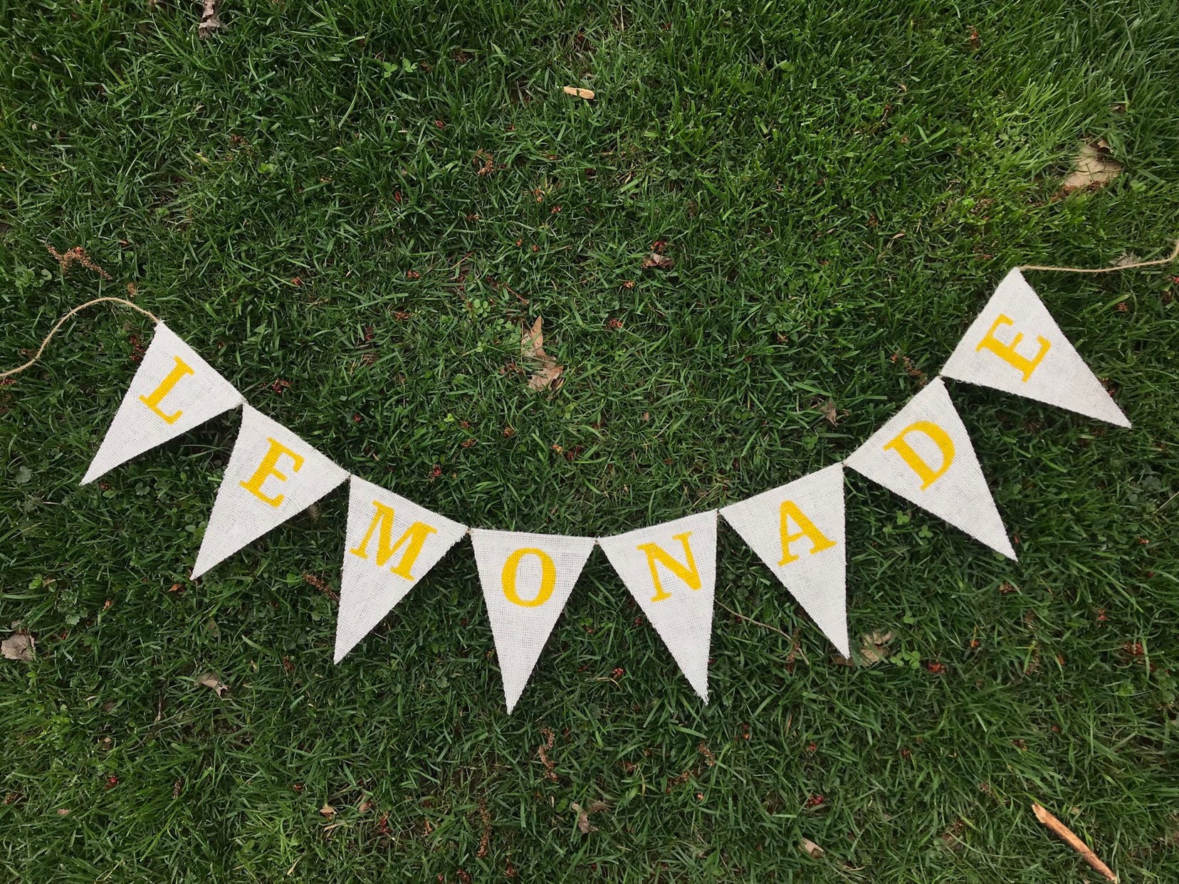Lemonade Banner Lemonade Sign Lemonade Birthday Decoration | Etsy