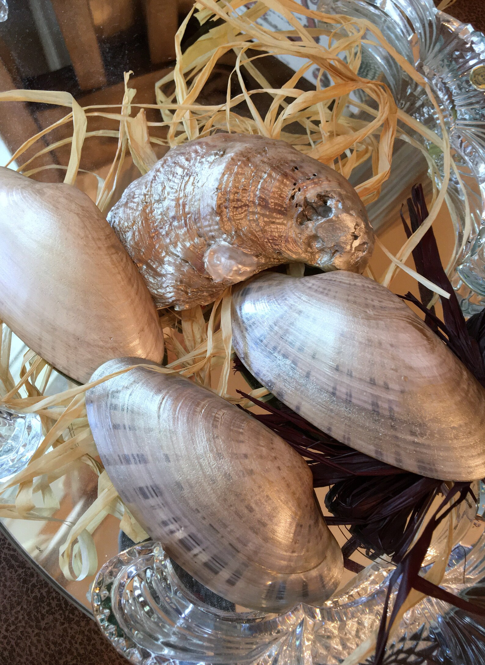 Hand Painted CLAM SHELLS Four FLORAL Designs to Choose From | Etsy