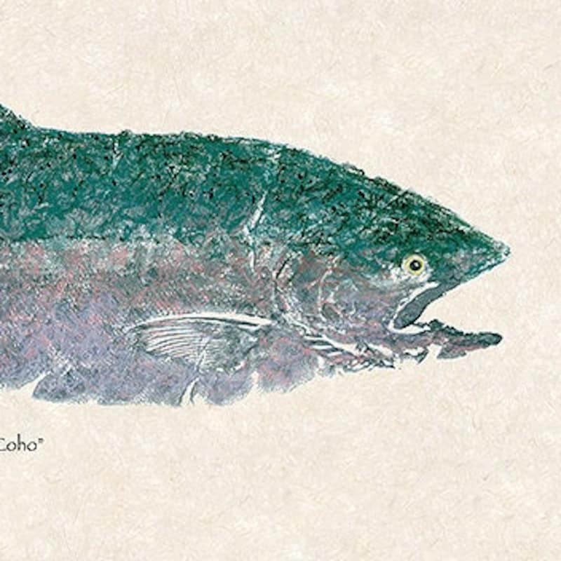 Original Gyotaku - Etsy