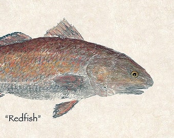 Redfish Print - Etsy